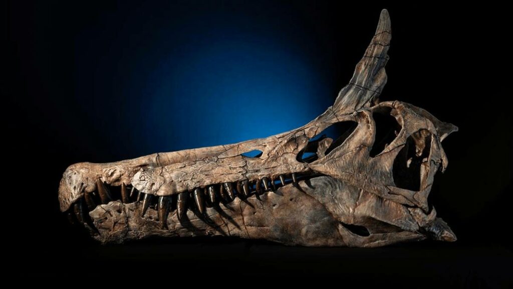 Ancient Enigma Unearthed: 95-Million-Year-Old Creature Challenges ...